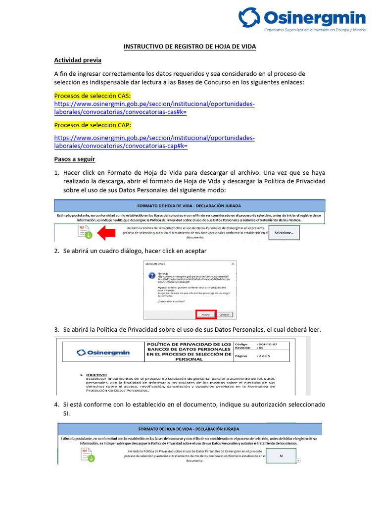 Instructivo Formato Hoja de Vida CAP CAS | PDF | Documento de identidad | Política de privacidad