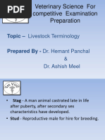 Complete Animal Terminology Chart | PDF