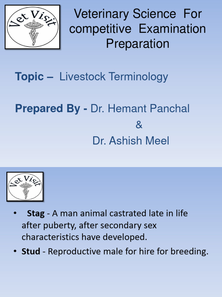 Livestock Terms for Vet Exams | PDF | Chicken | Cattle