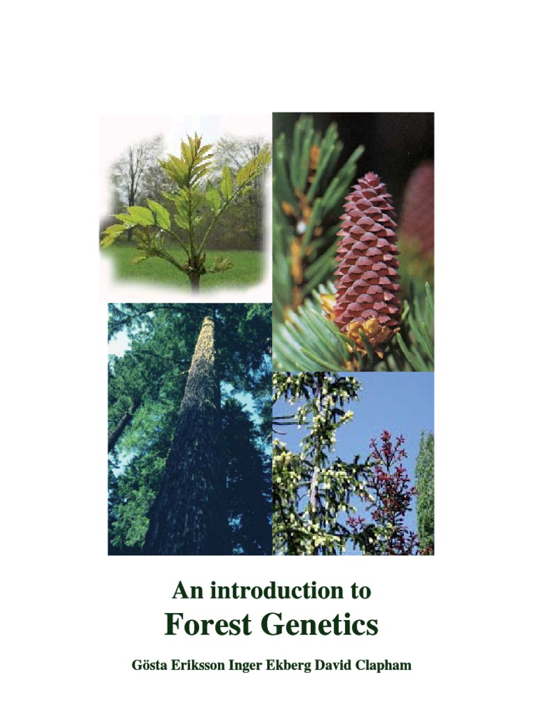 Forest Genetics | PDF | Mitosis | Genetic Recombination