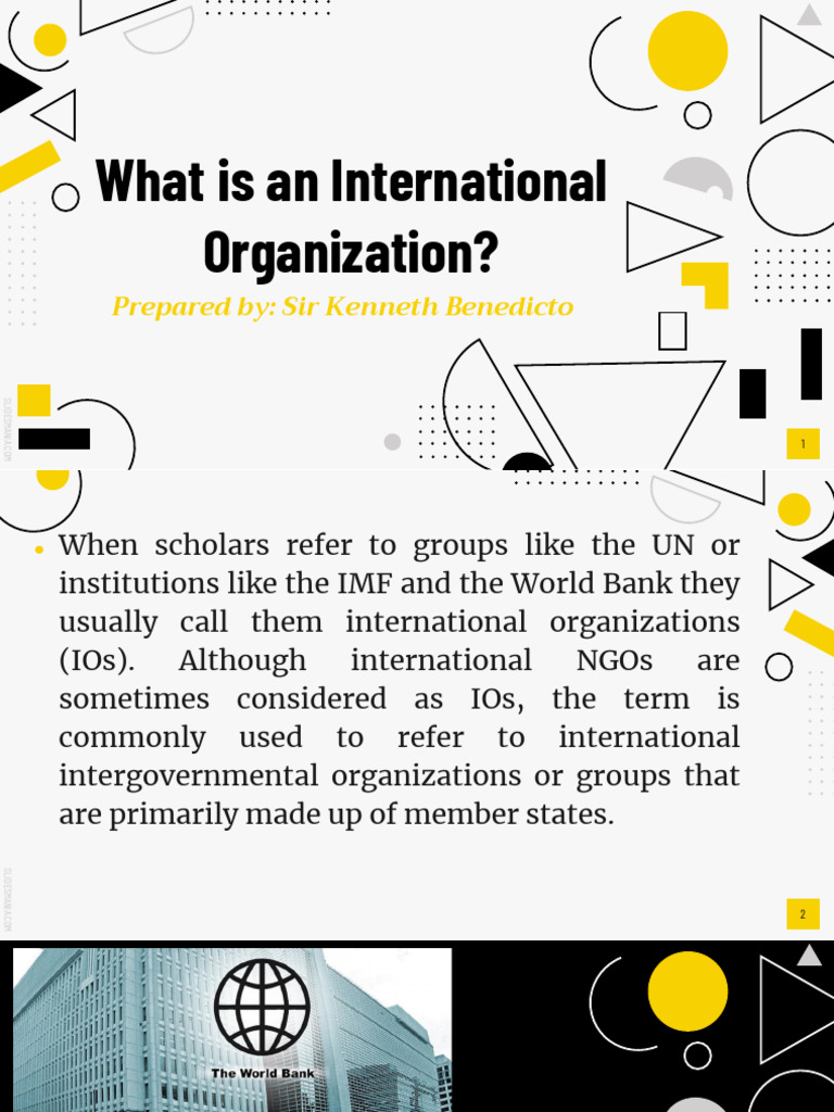 Understanding International Organizations | PDF | United Nations ...