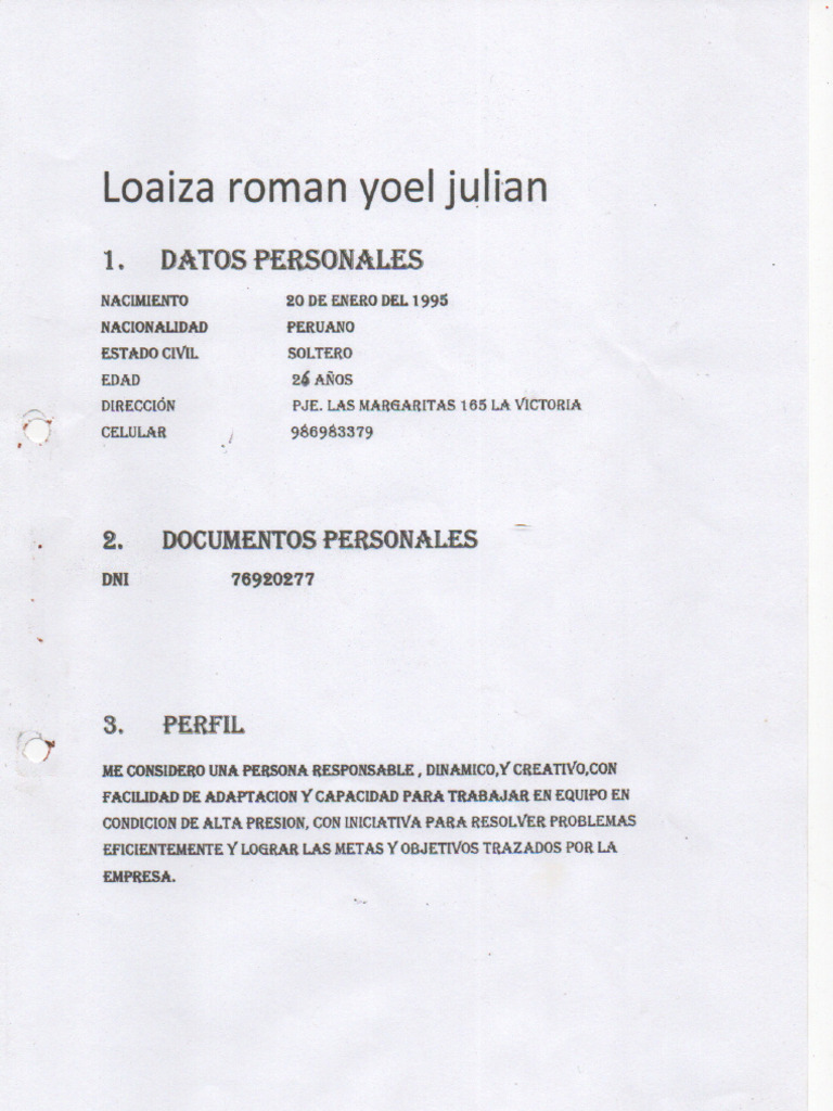 CV - Yoel Loaiza Roman | PDF