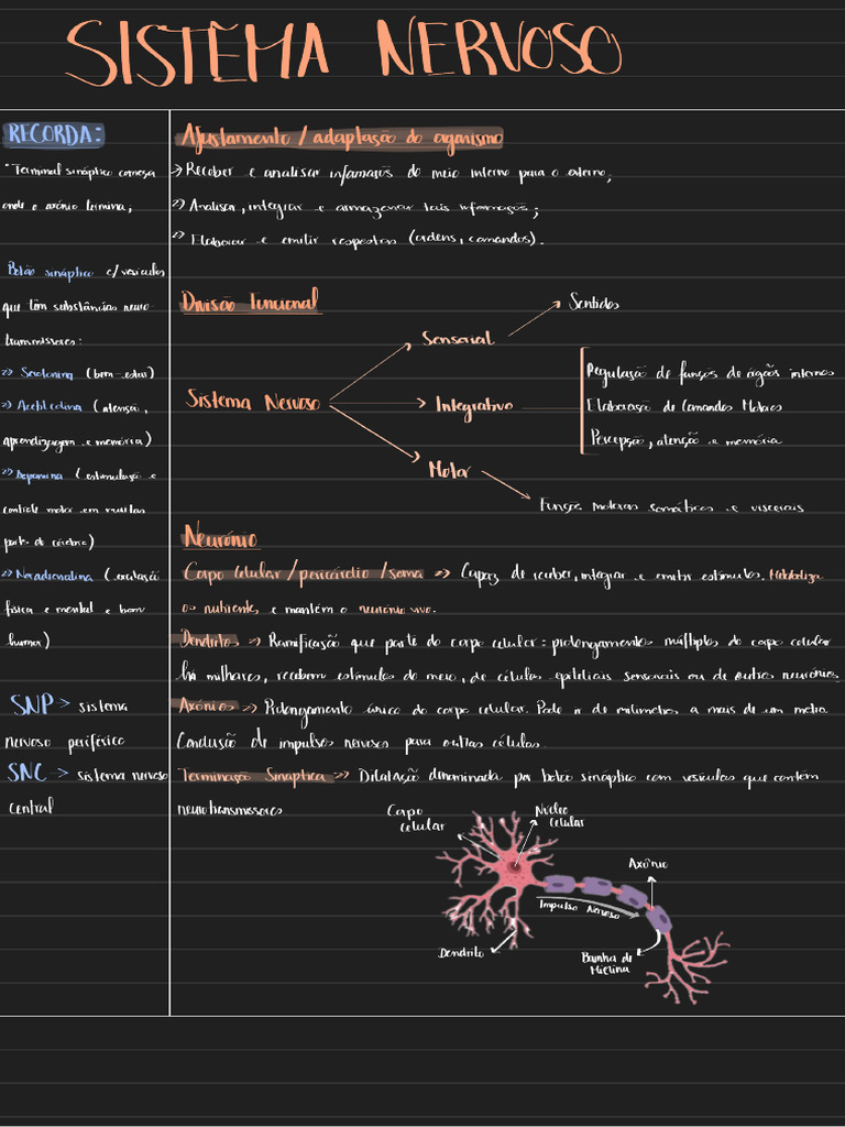 Sistema Nervoso | PDF