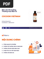 BÁO CÁO TÀI CHÍNH DOANH THU VÀ TÁC ĐỘNG CỦA CHIẾN LƯỢC MARKETING | PDF