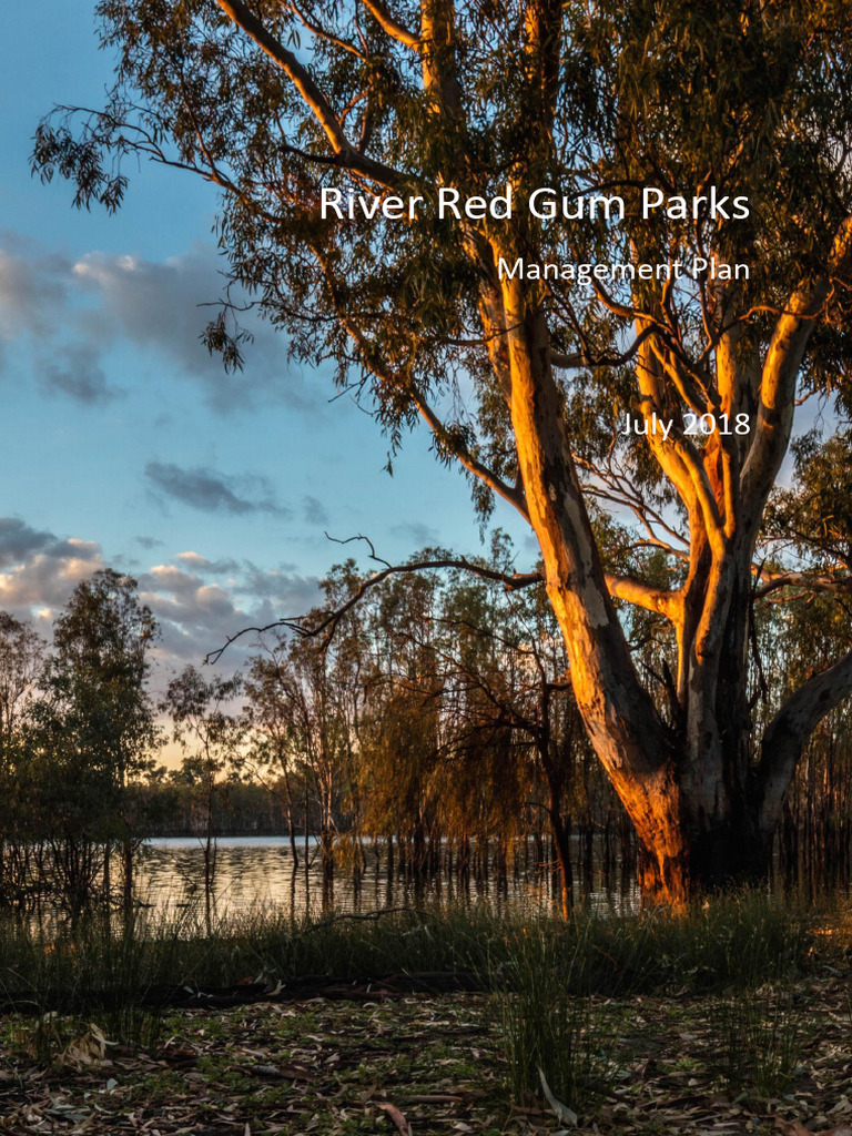 River Red Gum Parks Management Plan | PDF | River | Wetland