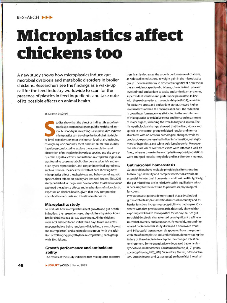 Microplastics Affect Chickens Too | PDF