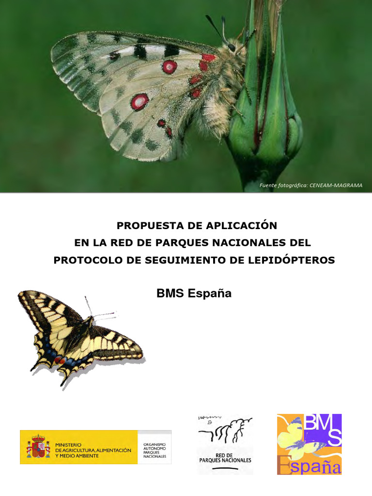Protocolo Lepidopteros - tcm30 69613 | PDF | Herida | España