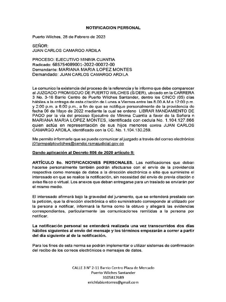 004 Notificacion Personal | Descargar gratis PDF | Gobierno