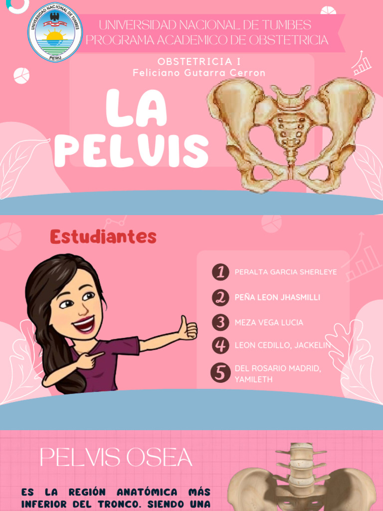 Anatomía y Clasificación de la Pelvis | PDF | Pelvis | Sistema esquelético