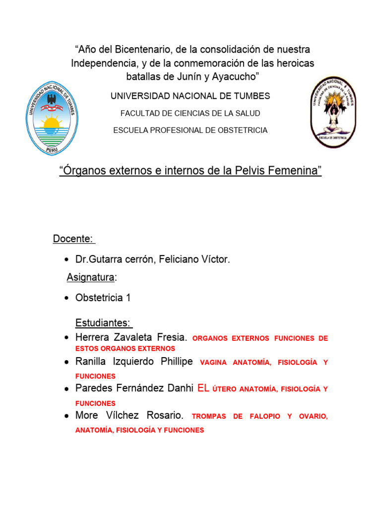 Órganos Externos e Internos de La Pelvis Femenina-3 | PDF | Labios | Vagina