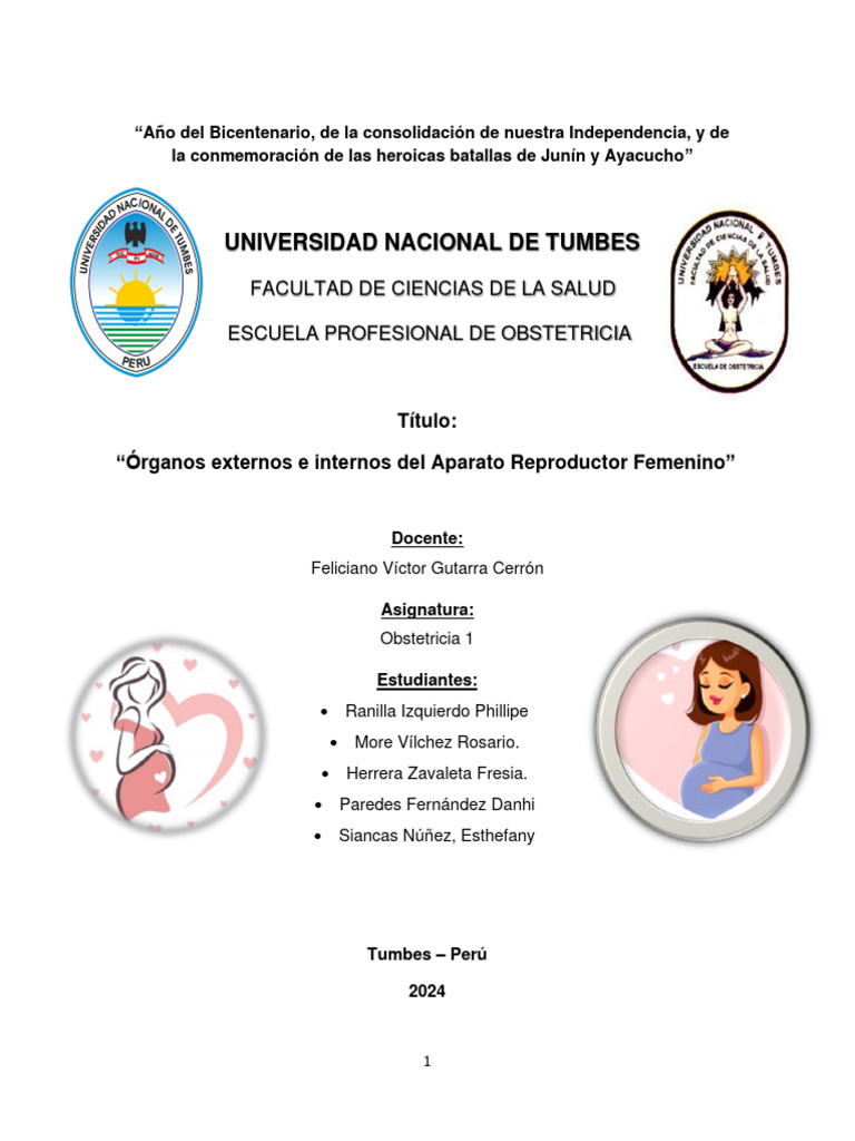 G1-Órganos Externos e Internos Del Aparato Reproductor Femenino | PDF ...