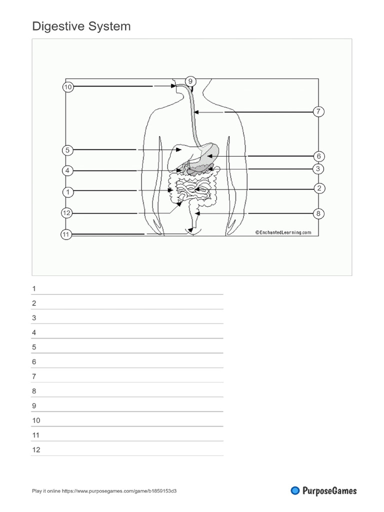 Worksheet | PDF