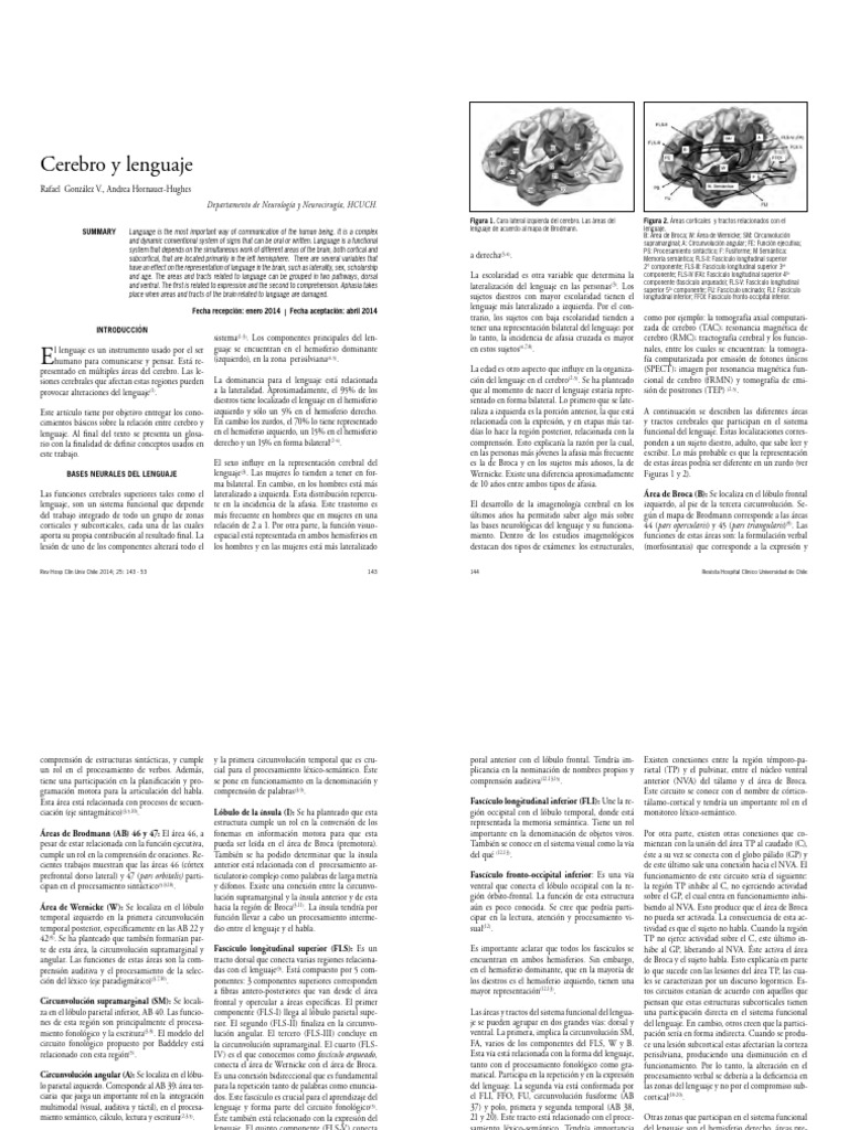 Lectura 4 para Imprimir | PDF | Afasia | Lóbulo temporal