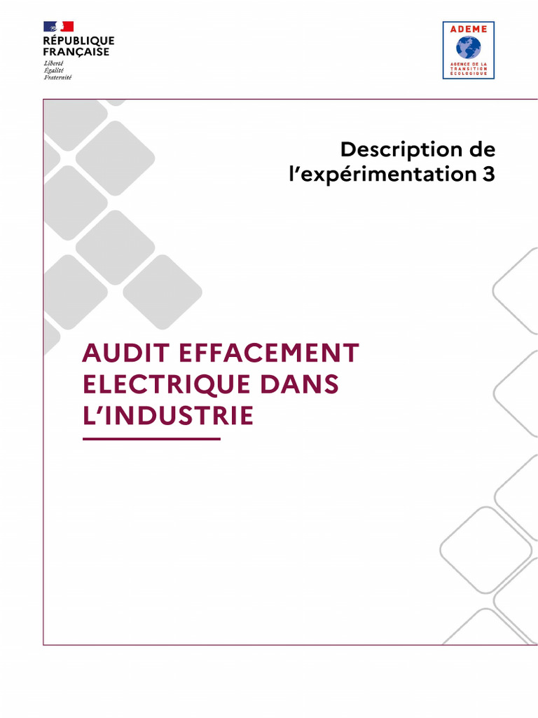 AAP EXPEDITE - Description Expérimentation 3 - Audit Effacement ...