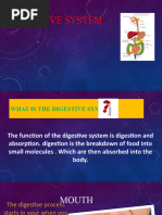 Blank 4 Panel Comic Strip | PDF | Biology | Digestive System