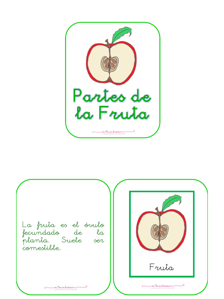 Partes de la Fruta y su Función | PDF