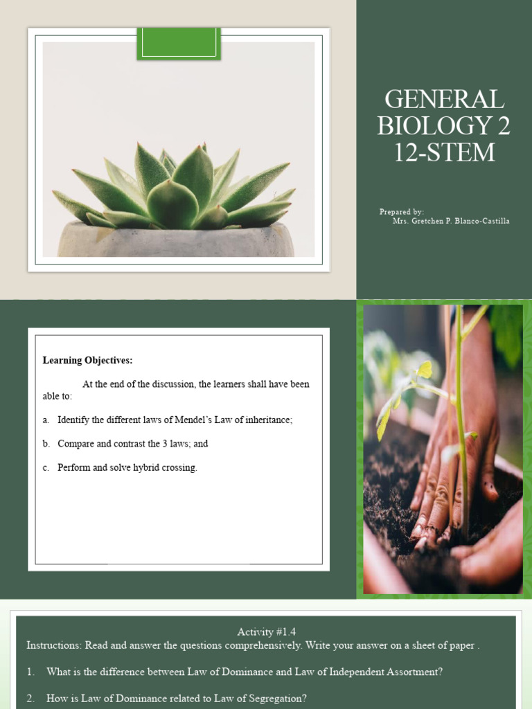 Mendel's Laws of Inheritance Explained | PDF | Dominance (Genetics ...