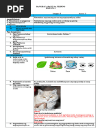 Reading Lesson Plan Msa | PDF