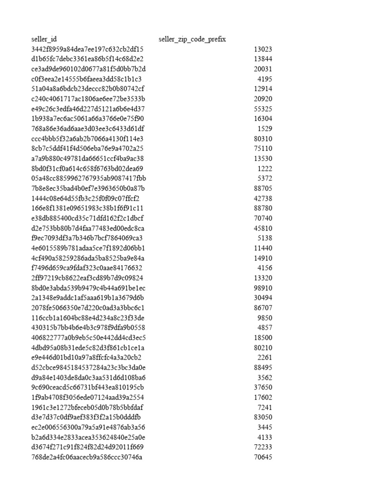 Olist Seller Dataset Overview | PDF