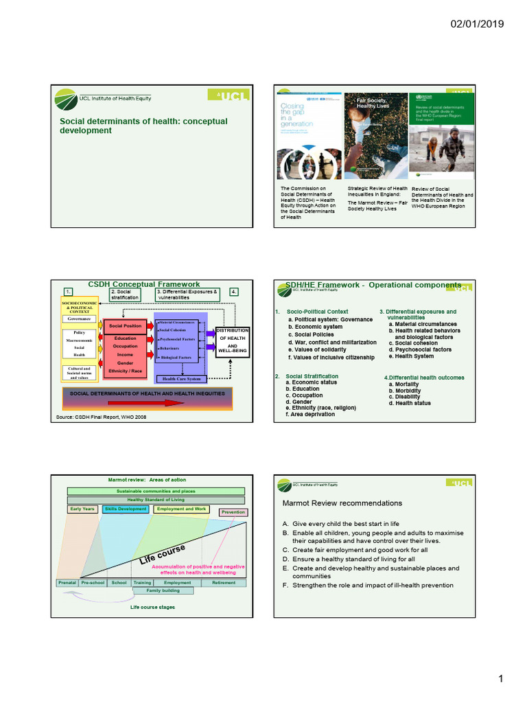 Session 2 Handout Conceptual Models | PDF | Health Equity | Social Psychology