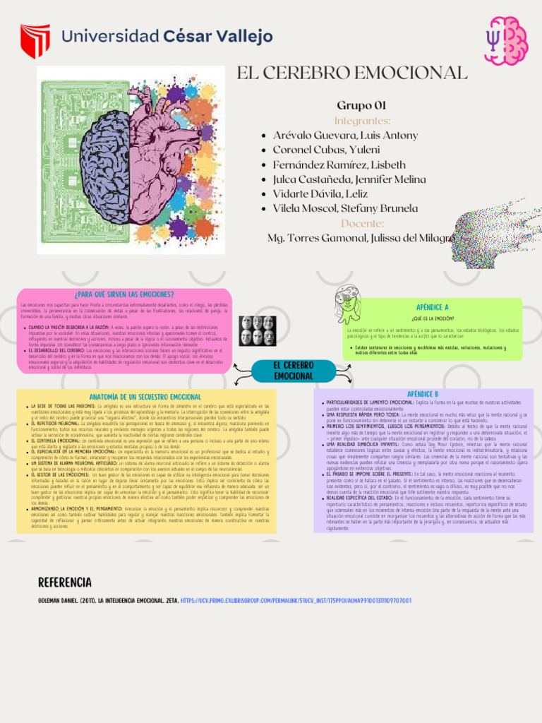 Organizador PSI. SOCIAL | PDF | Las emociones | Mente