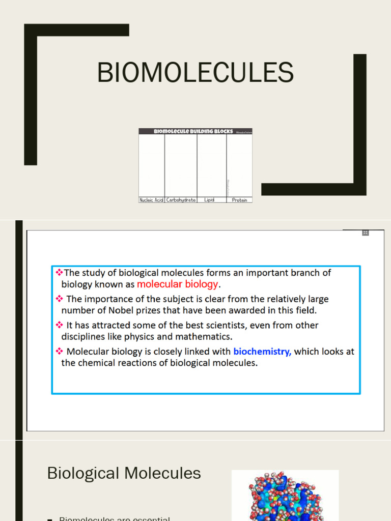 Physical Science Lesson 4 - Structure and Function of Biomolecules ...