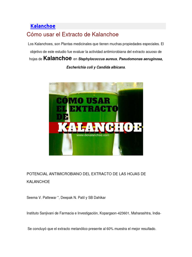 Como Usar Extracto de Kalanchoe | PDF | Antimicrobiano | Staphylococcus ...
