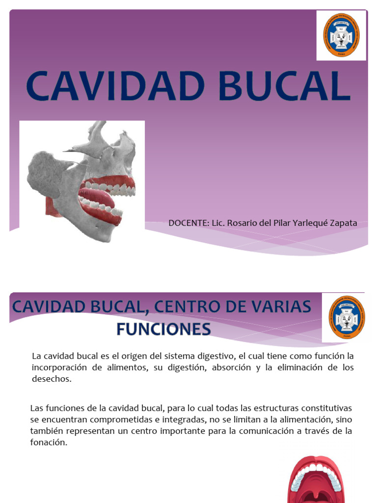 Cavidad Bucal | PDF | Sistema digestivo humano | Digestión