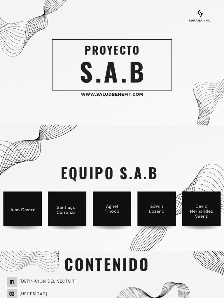 Proyecto: Larana, Inc | PDF | Red mundial | Internet y web