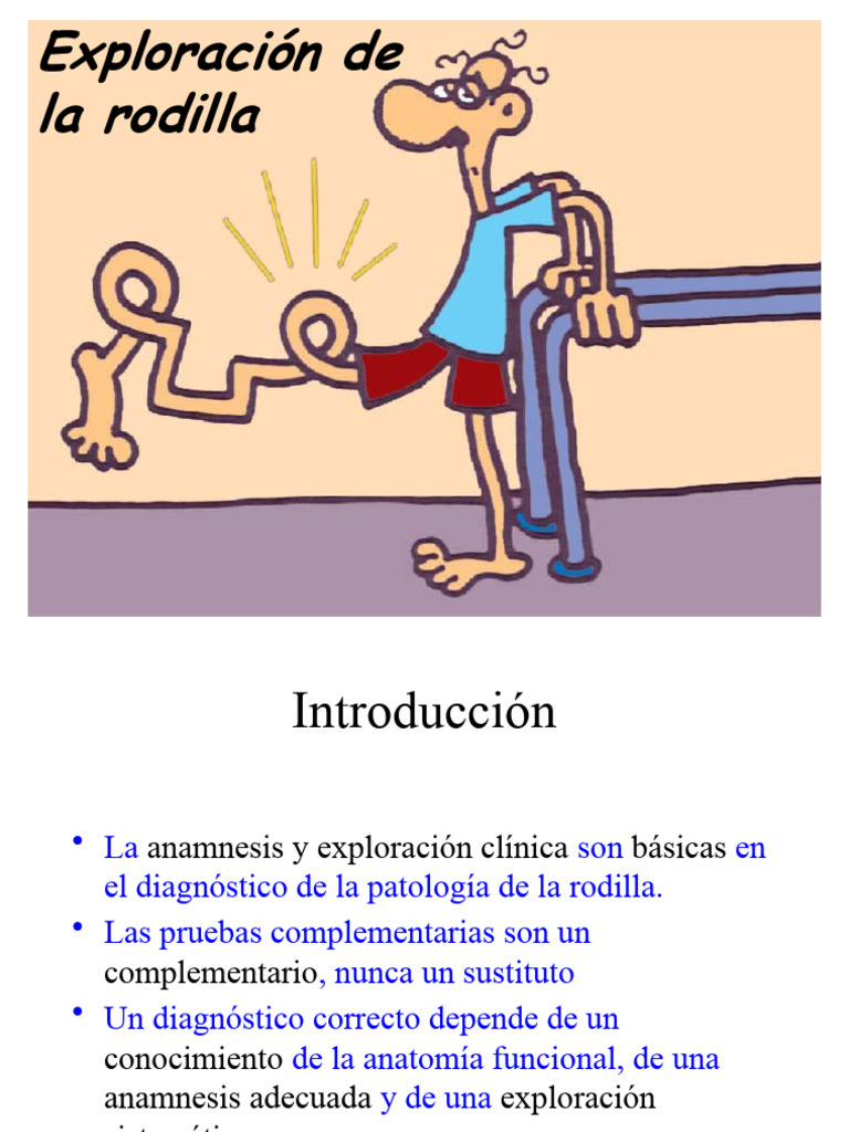 Seminario Exploracion de Rodilla | PDF | Rodilla | Anatomía humana