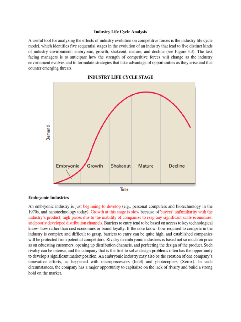 Understanding Industry Life Cycle Stages | PDF | Profit (Economics ...