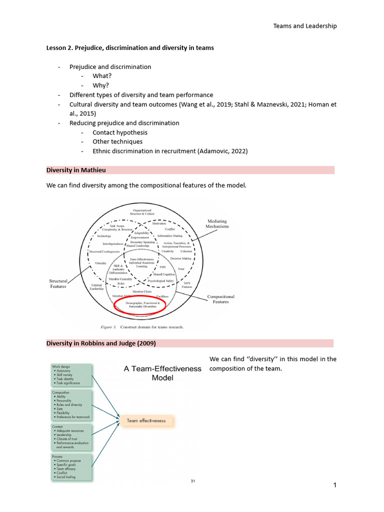 Lesson 2. Prejudice, discrimination and diversity in teams | PDF | Stereotypes | Prejudices