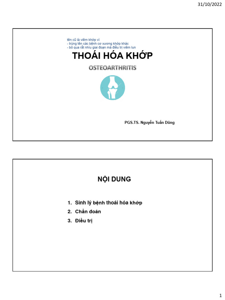 SDT OSTEOARTHRITIS 2022 DHYD Lectures | PDF