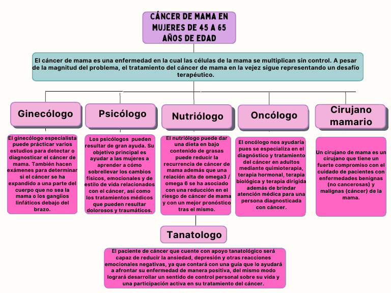 Pink Colorful Modern Organizational Chart Graph | PDF | Cáncer de mama ...