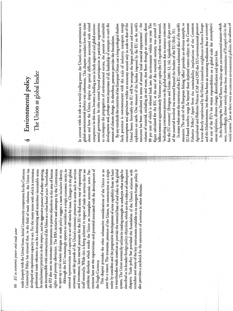 Bretherton Cap. 4 | PDF