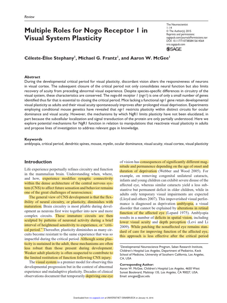 Nogo Receptor 1's Role in Visual Plasticity | PDF | Visual System ...