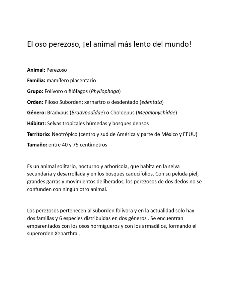 El Oso Perezoso | PDF | Tecnología