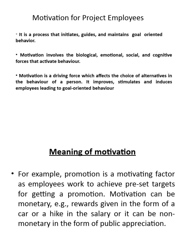 Motivation for Project Employees | PDF | Motivational | Motivation