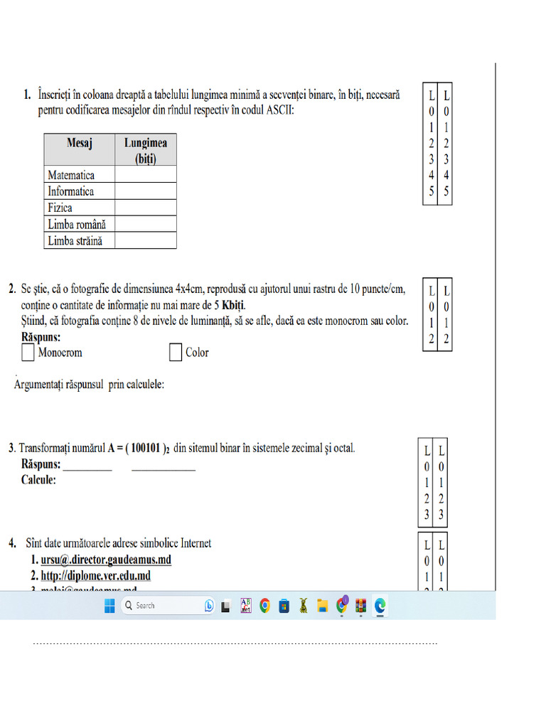Teza Informatica Clasa 11 | PDF