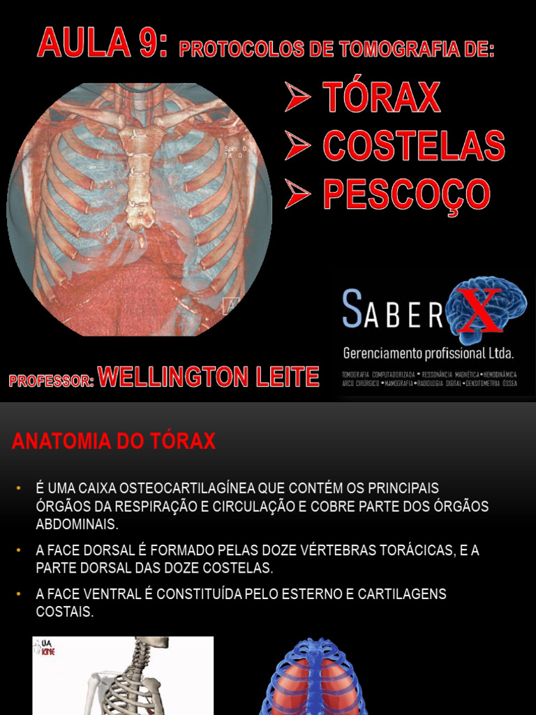 Anatomia e Vascularização do Tórax | PDF | Pulmão | Câncer de pulmão