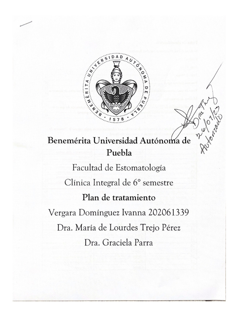 Plan de Tratamiento AUTORIZADO | PDF