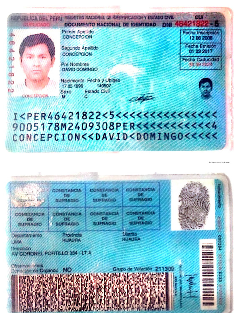 Dni - David Concepción | PDF