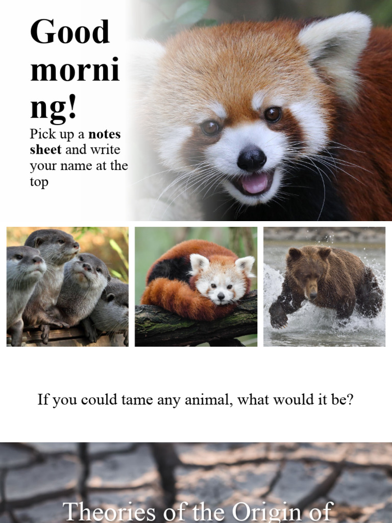 Theories of Life's Origin: Evolution vs. Intelligent Design | PDF