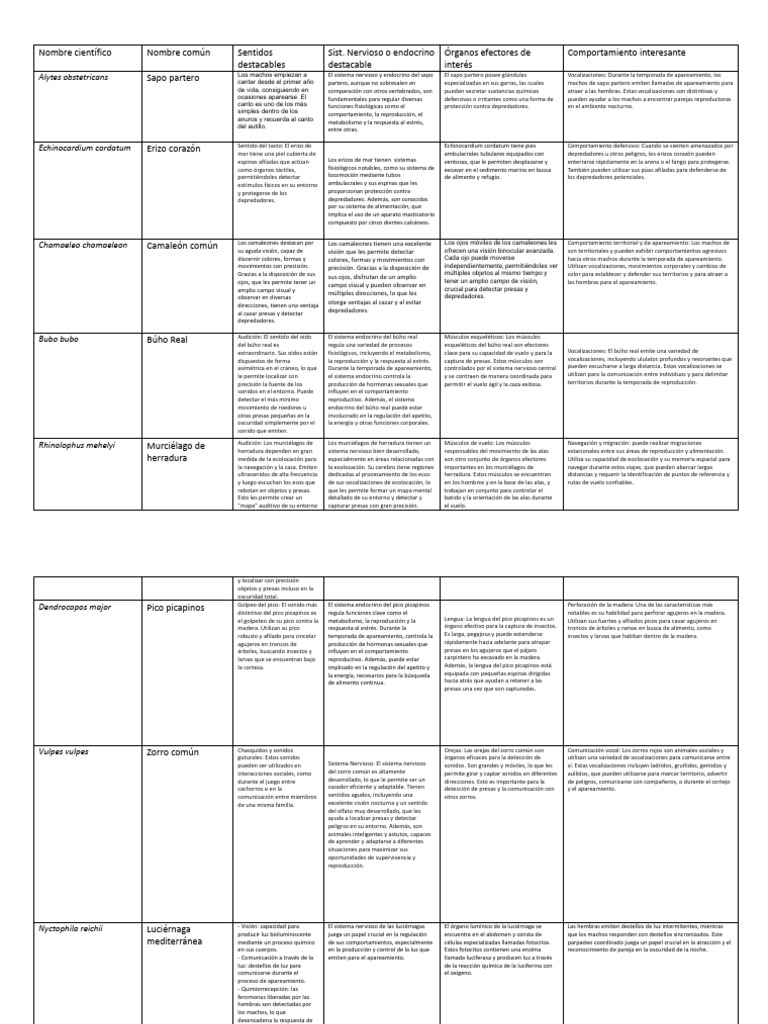 Características de Animales y sus Sentidos | PDF | Western Honey Bee ...