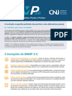 BNMP 3.0 - Manual Do Usuário | PDF | Prisão