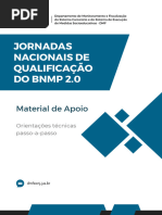 BNMP 3.0 - Manual Do Usuário | PDF | Prisão