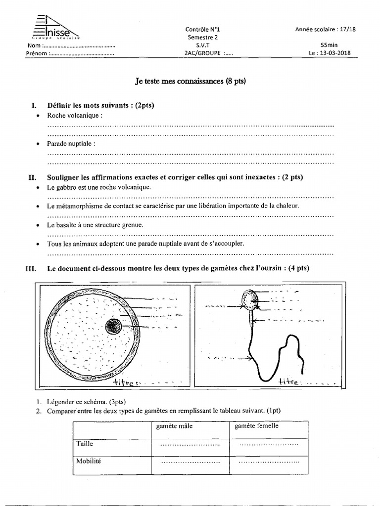 Devoir 1 Modele 2 SVT 2ac Semestre 2 | PDF