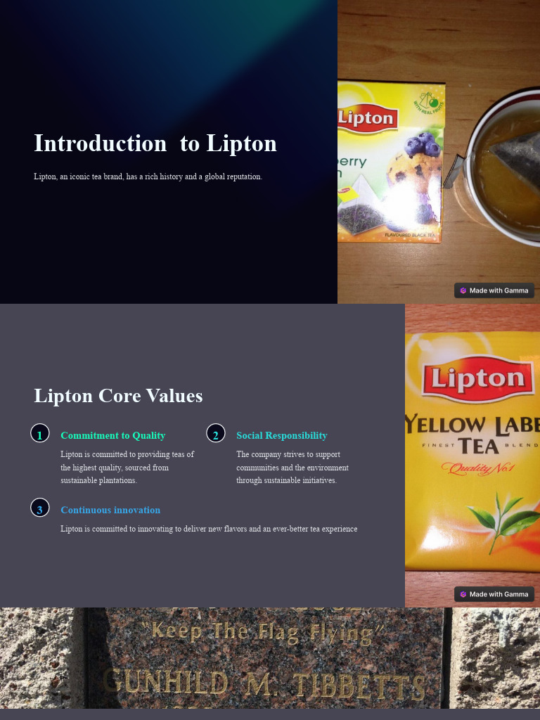 Introduction-to-Lipton | PDF | Sustainability | Tea