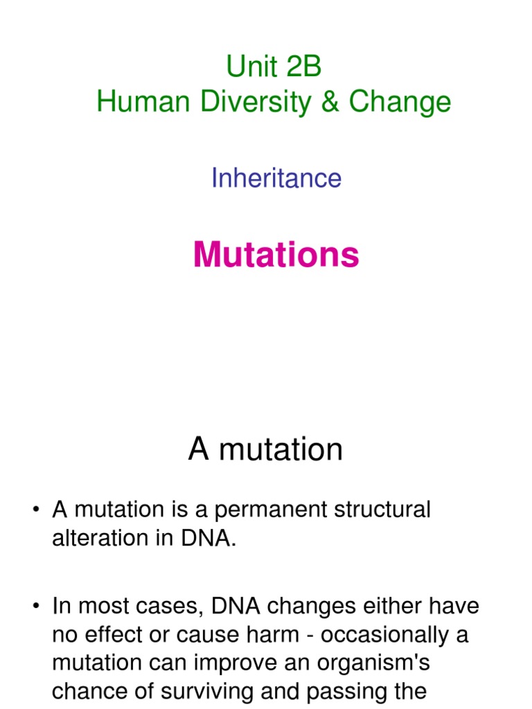 Unit 2B Human Diversity & Change: Inheritance | PDF | Karyotype | Mutation