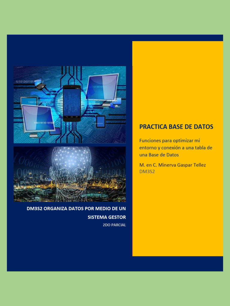 Practica BD | PDF | Bases de datos | Python (lenguaje de programación)